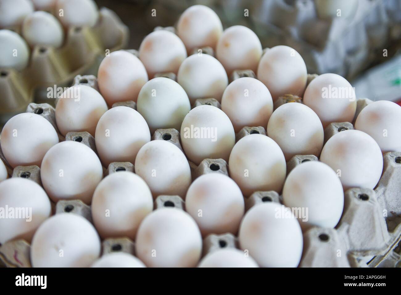 Produce eggs fresh from the farm organic / Fresh eggs white duck egg ...