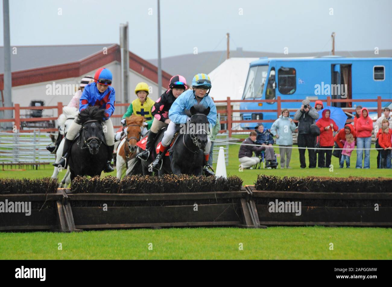 Shetland Grand National event being held at the Shetland Pony & Breeders show 2019 in Lerwick ...