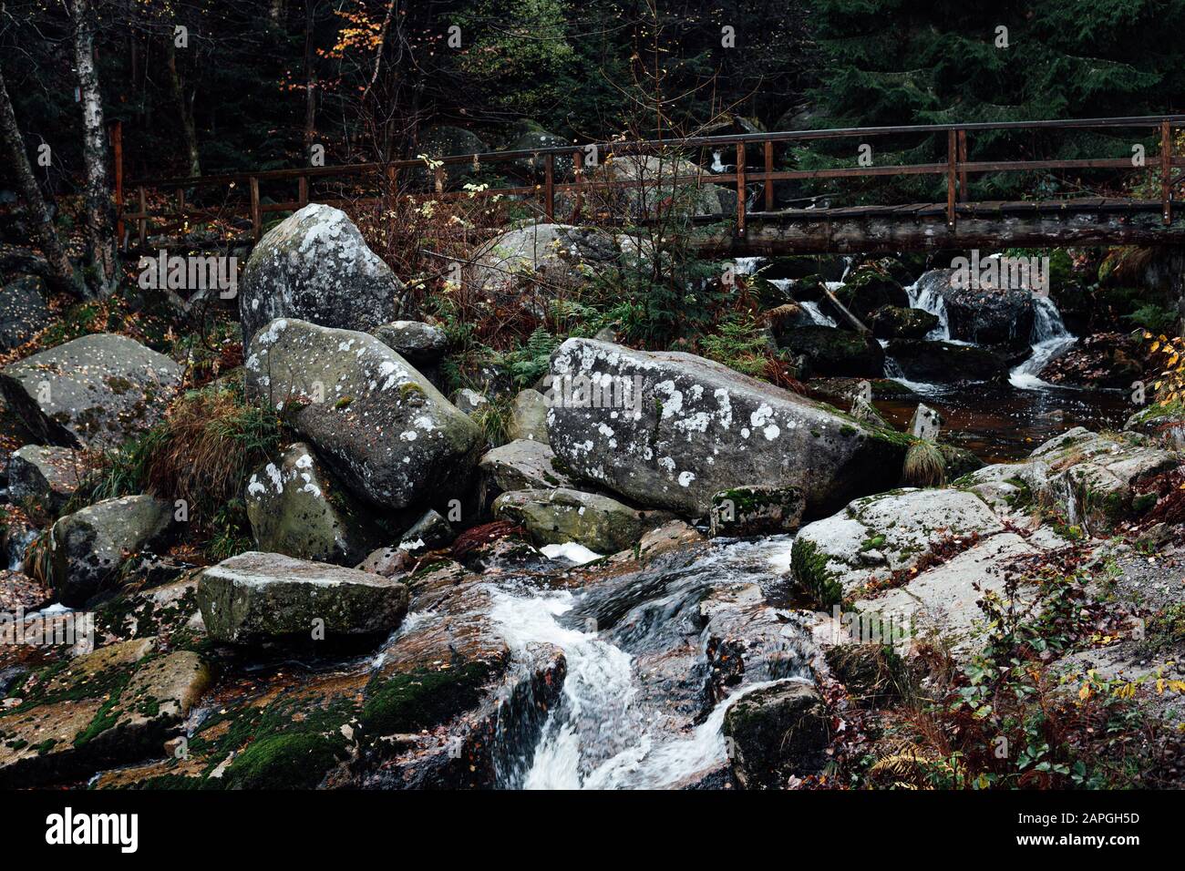 Wet look stones hi-res stock photography and images - Alamy