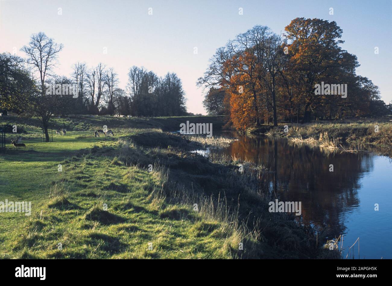 river avon warwickshire england uk Stock Photo - Alamy