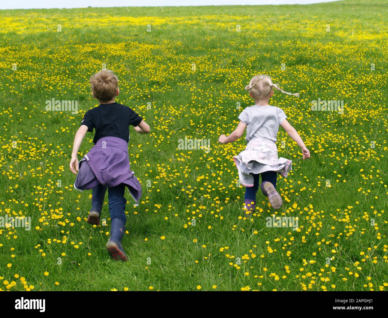 Two children, boy and girl, running in buttercup field, Spring ...