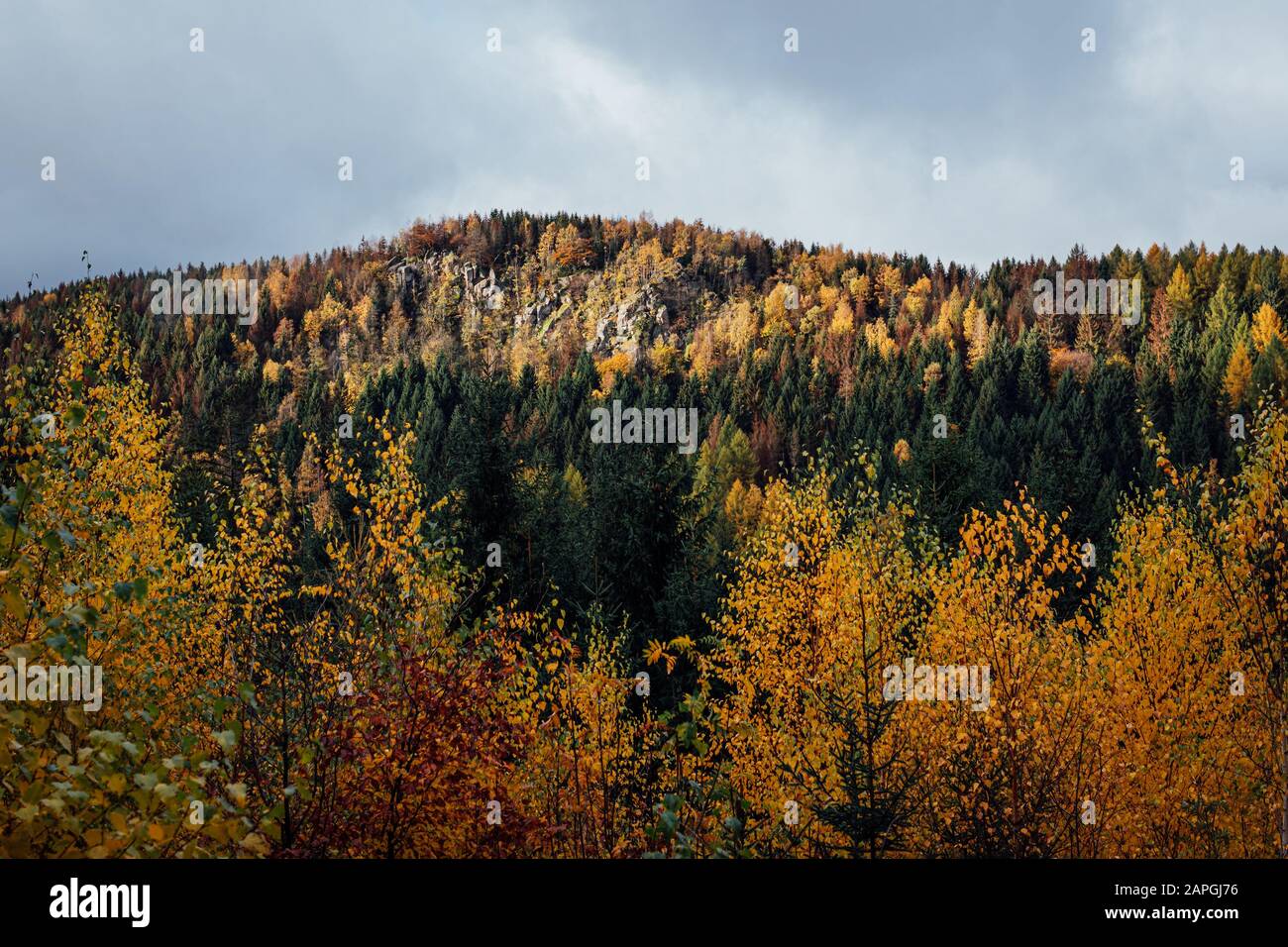 Colorful stone at harz national park hi-res stock photography and ...