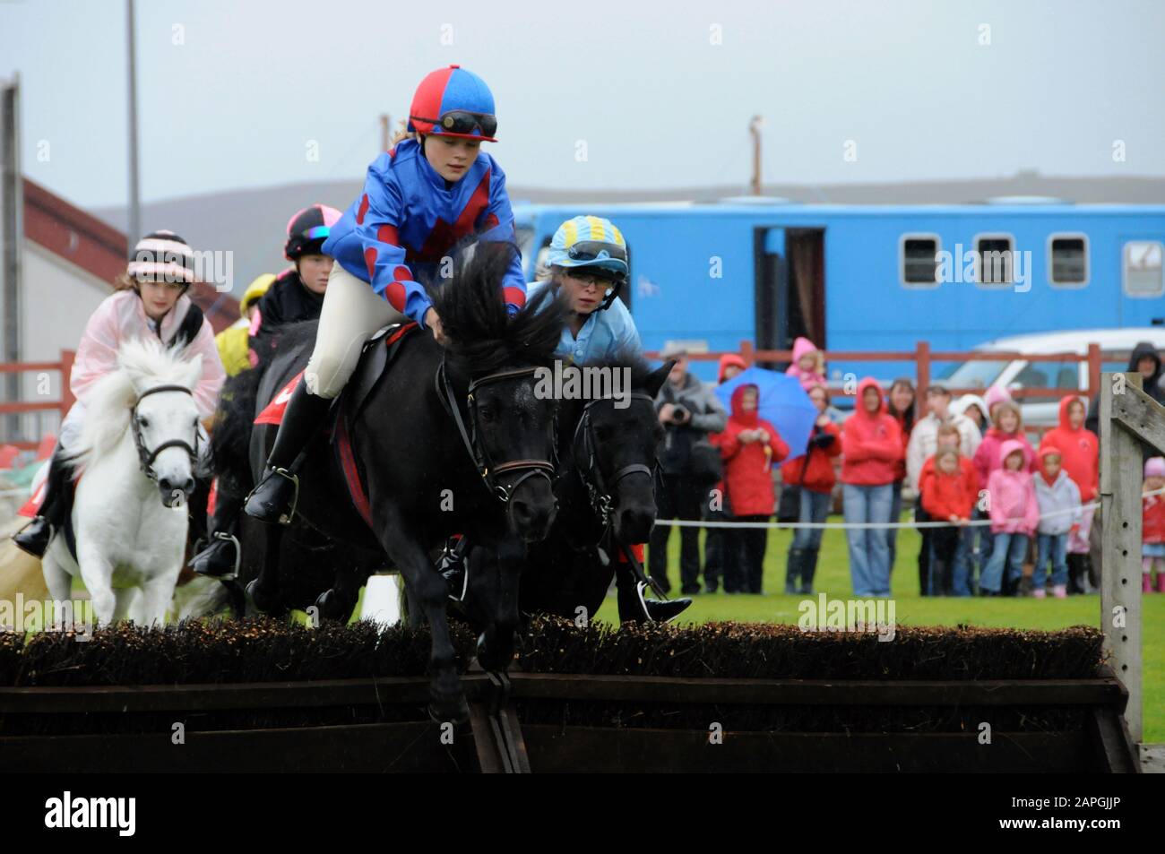 Shetland Grand National event being held at the Shetland Pony & Breeders show 2019 in Lerwick ...