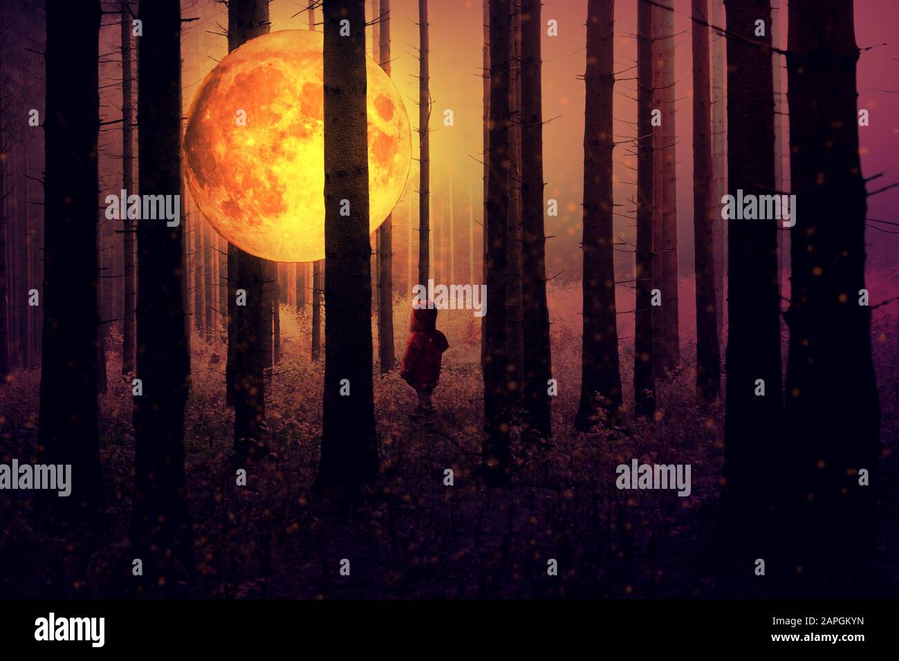 Magic forest moon hi-res stock photography and images - Alamy
