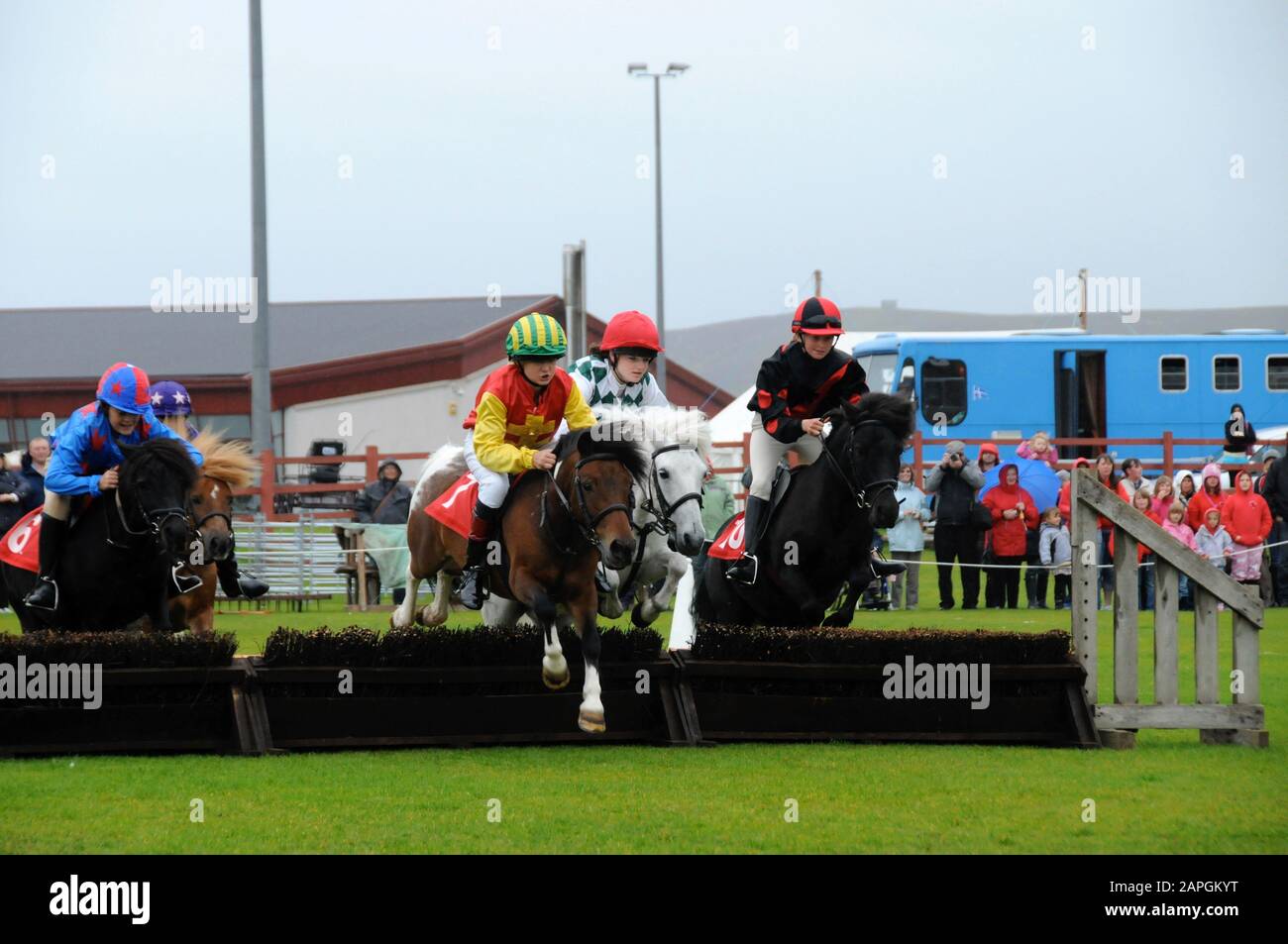Shetland Grand National event being held at the Shetland Pony & Breeders show 2019 in Lerwick ...