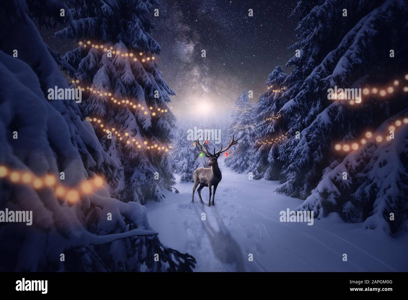 Santa claus christmas tree hi-res stock photography and images - Alamy
