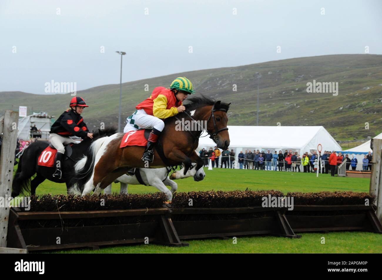 Shetland Grand National event being held at the Shetland Pony & Breeders show 2019 in Lerwick ...