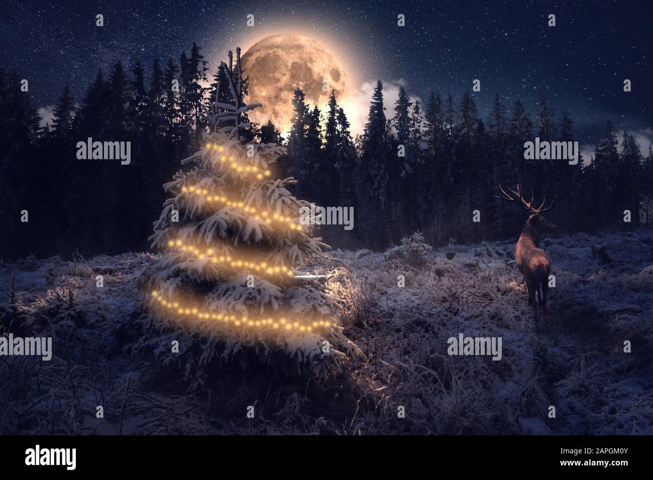 Full moon dusk pine hi-res stock photography and images - Alamy