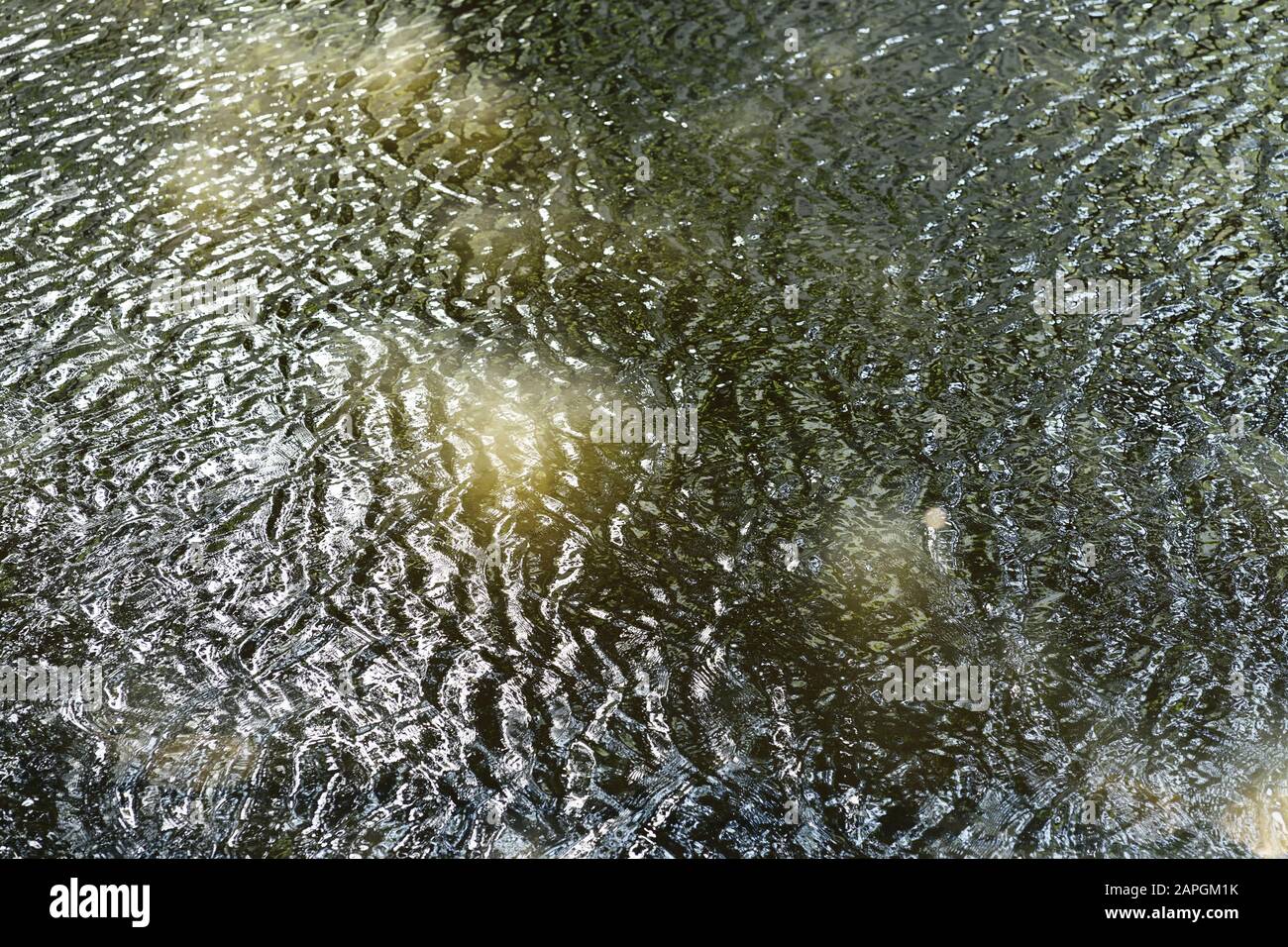 Slow motion surface sea water hi-res stock photography and images - Alamy