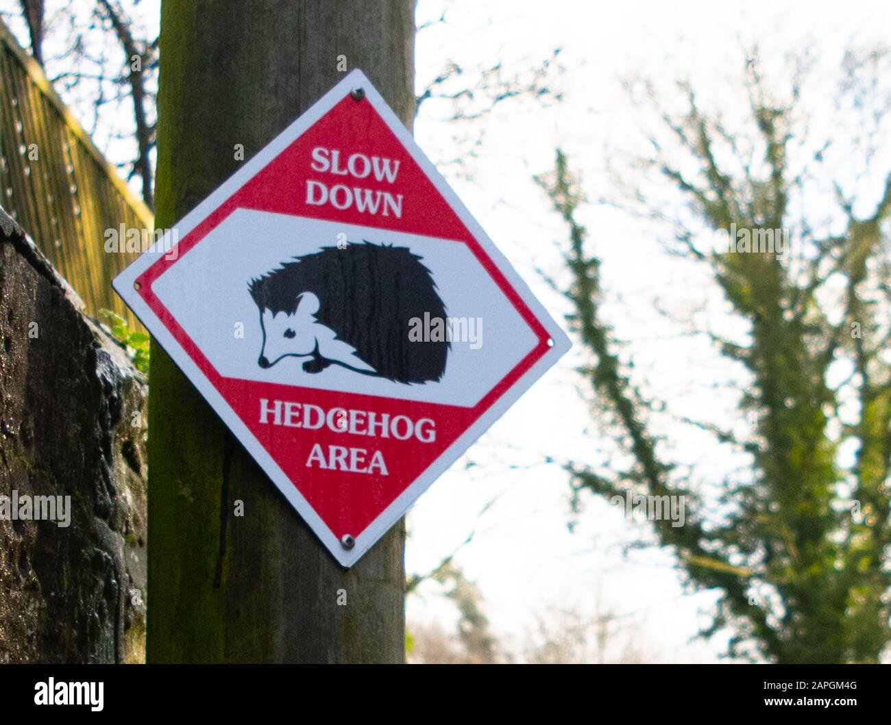 Slow Down Hedgehog Area Hazard warning sign in the Village of Heath ...