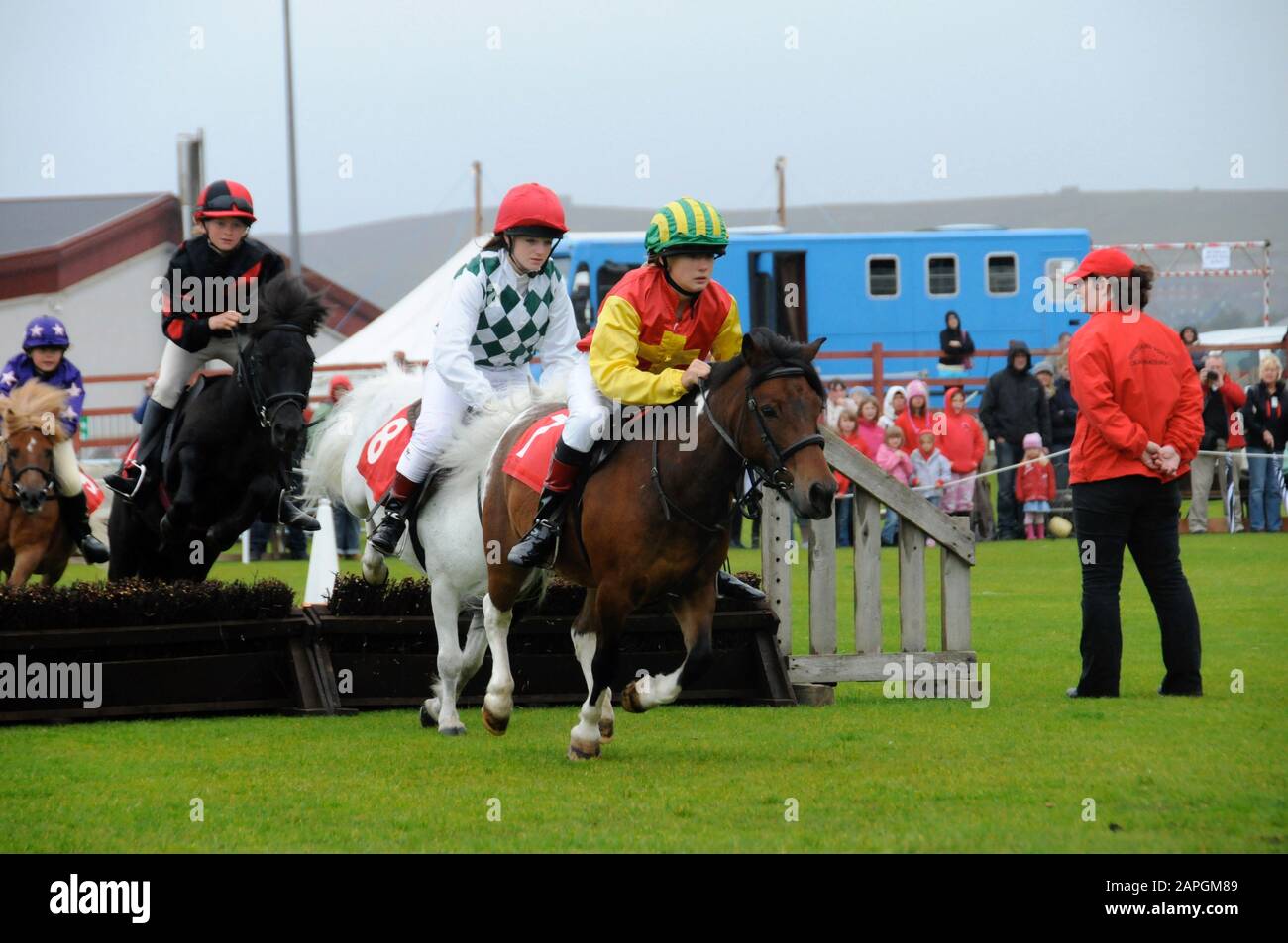 Shetland Grand National event being held at the Shetland Pony & Breeders show 2019 in Lerwick ...