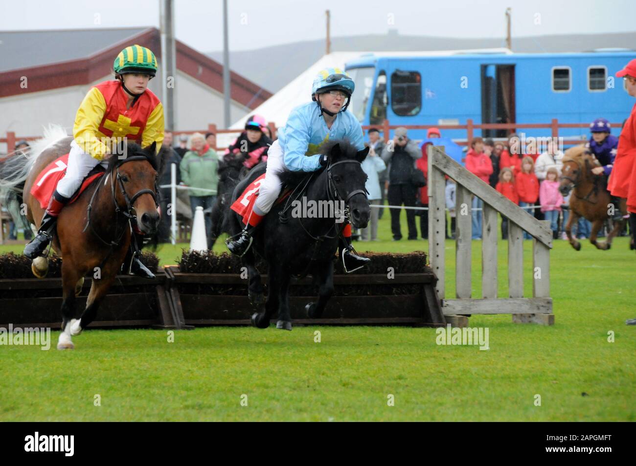 Shetland Grand National event being held at the Shetland Pony & Breeders show 2019 in Lerwick ...