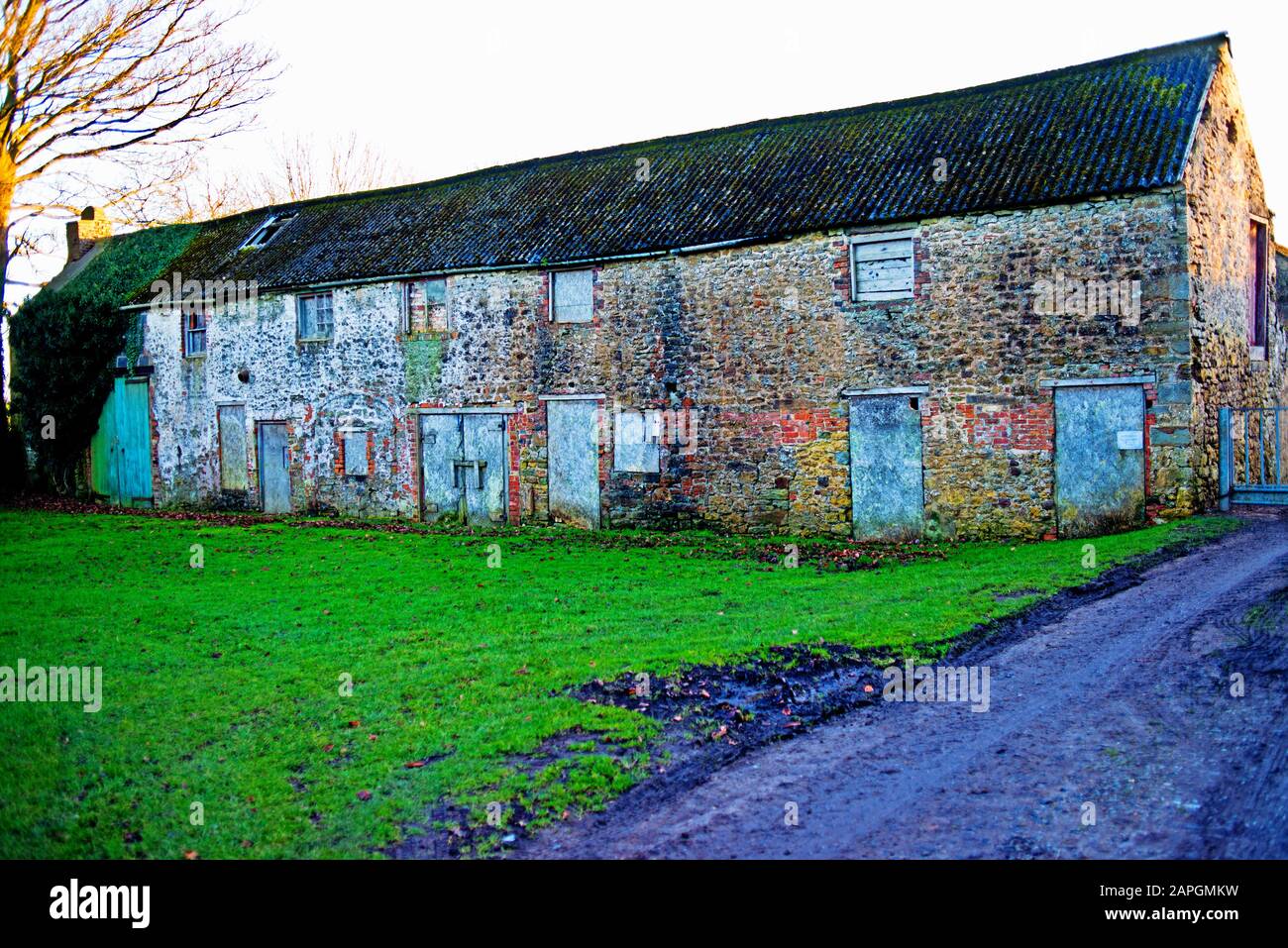 Bishop middleham hi-res stock photography and images - Alamy
