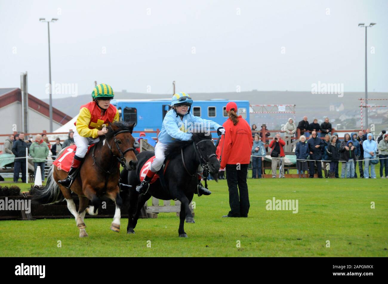 Shetland Grand National event being held at the Shetland Pony & Breeders show 2019 in Lerwick ...