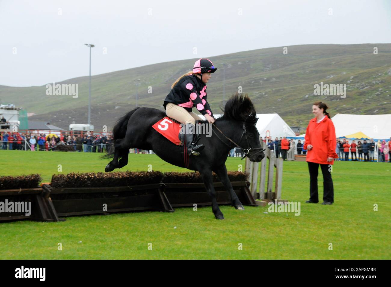 Shetland Grand National event being held at the Shetland Pony & Breeders show 2019 in Lerwick ...