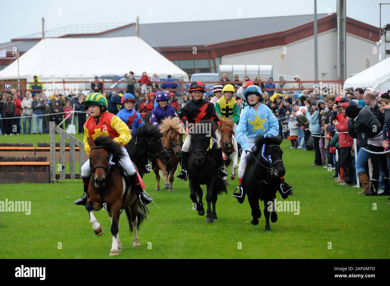 Shetland Grand National event being held at the Shetland Pony & Breeders show 2019 in Lerwick ...
