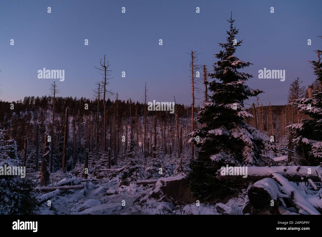 Weather cold sunrise hi-res stock photography and images - Alamy