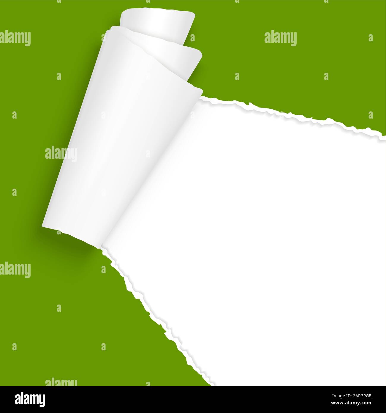 Rolled green paper hi-res stock photography and images - Alamy