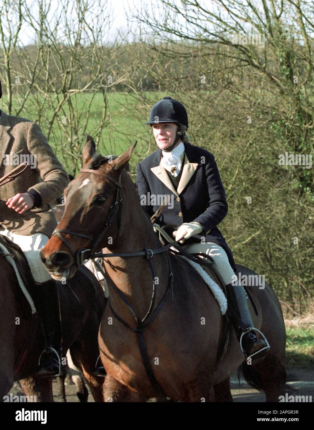 Princess Royal Beaufort Hunt High Resolution Stock Photography and ...