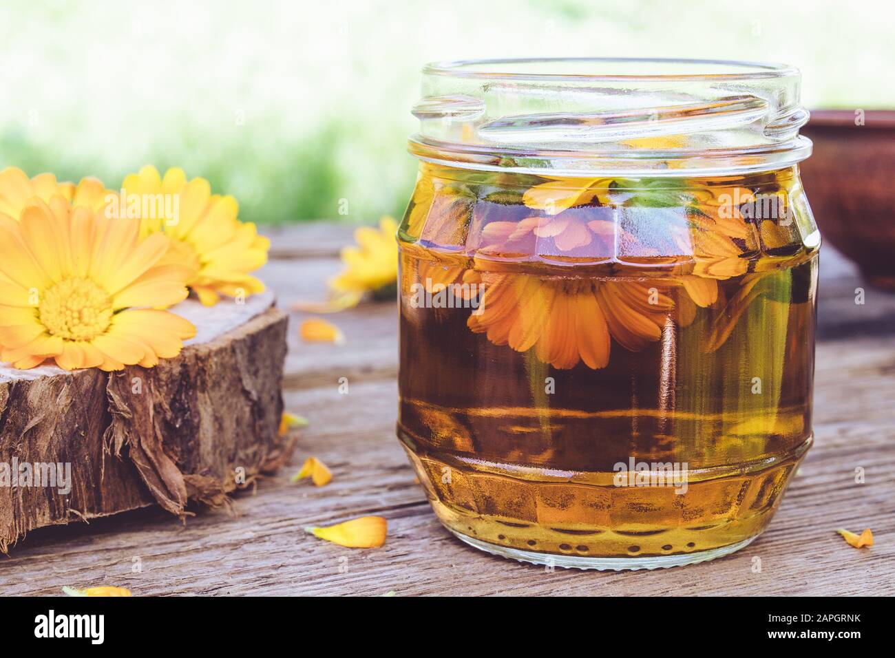Transparent jar of calendula tincture with a fresh plant of calendula ...