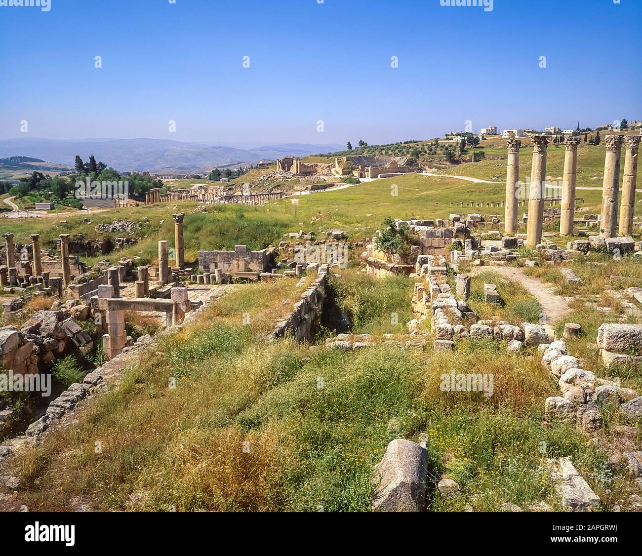 Jordan. Free standing stone columns dominate the landscape among the ...