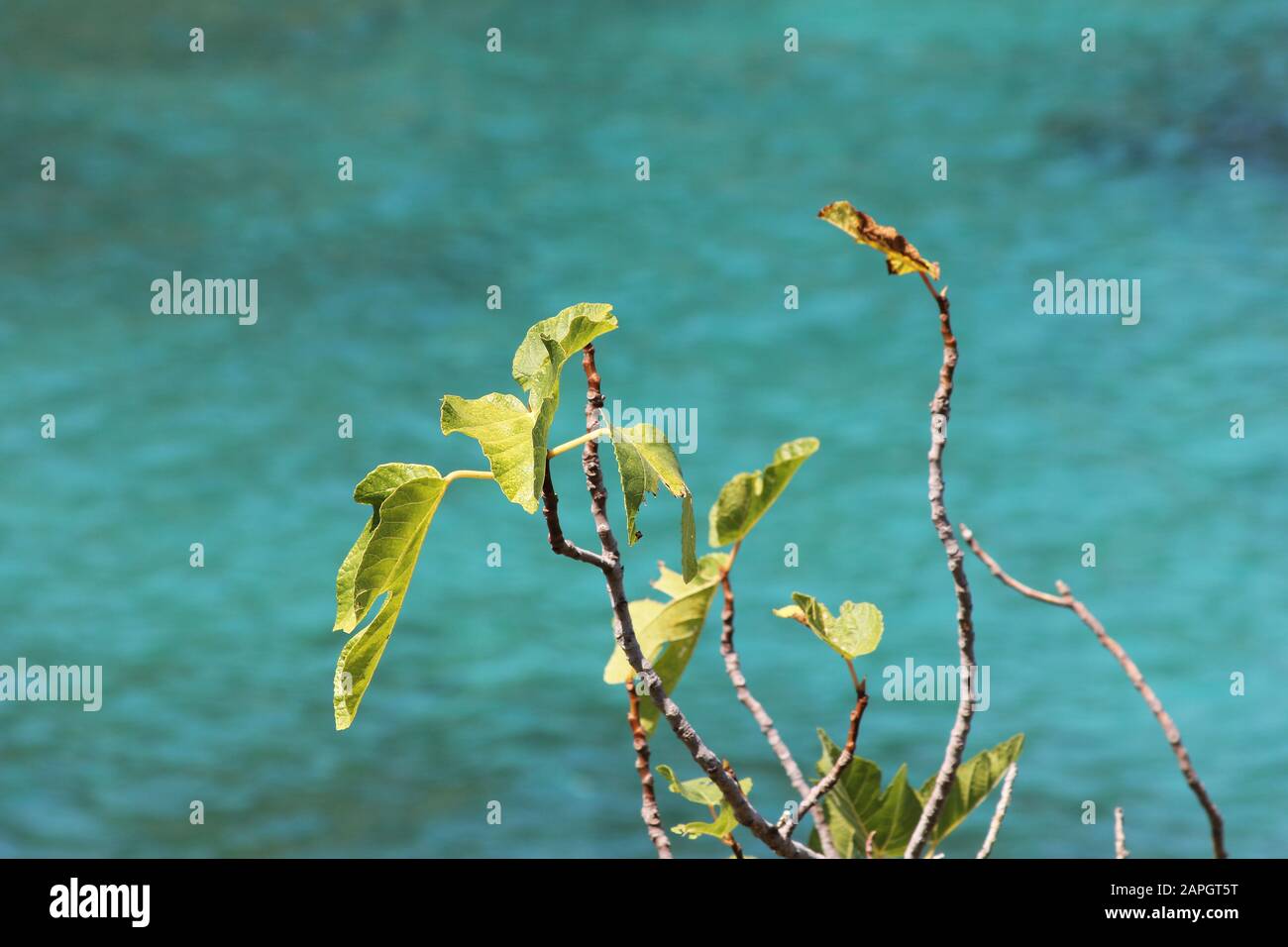 Utopia by the sea hi-res stock photography and images - Alamy