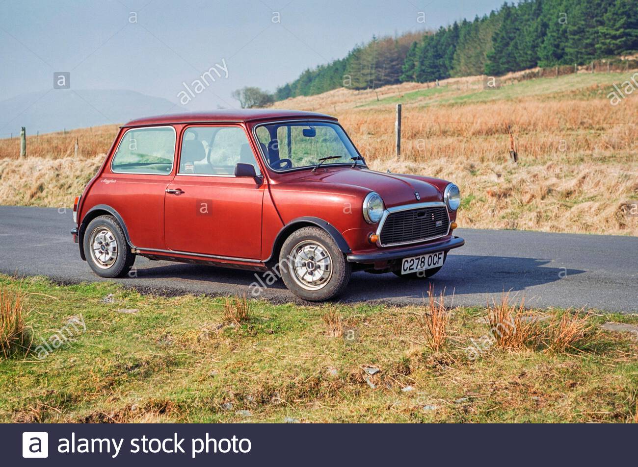 Classic Mini Car High Resolution Stock Photography and Images - Alamy