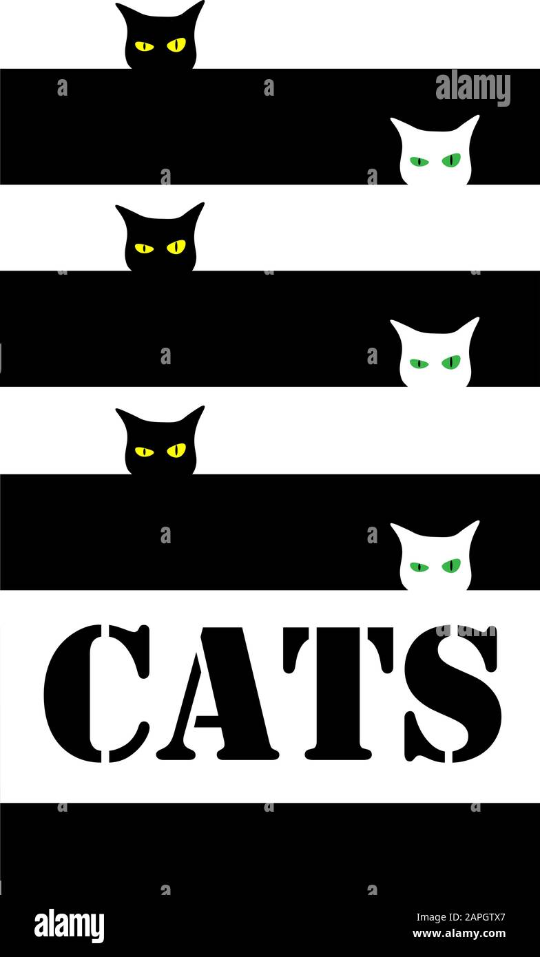 Six contrast black and white cats with angry faces, text 'cats' Stock ...
