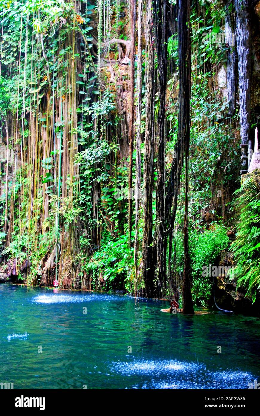 Cenote Ik Kil, Yucatán, Mexico Stock Photo - Alamy