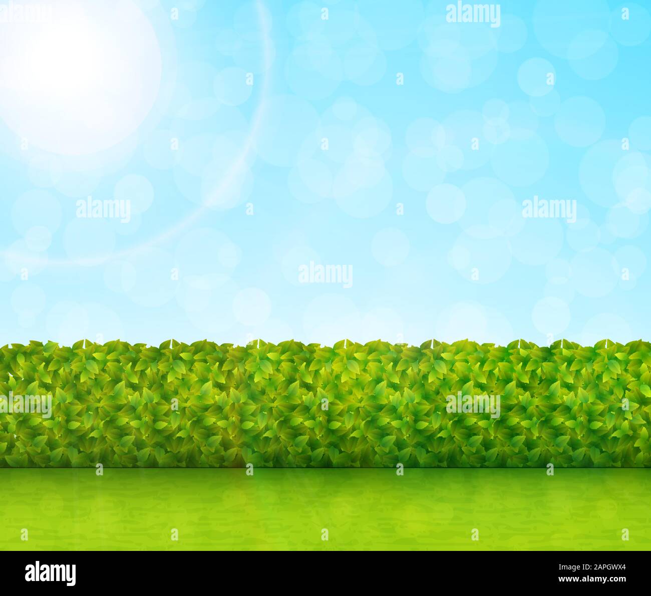 Garden hedge green plant Stock Vector Images - Alamy