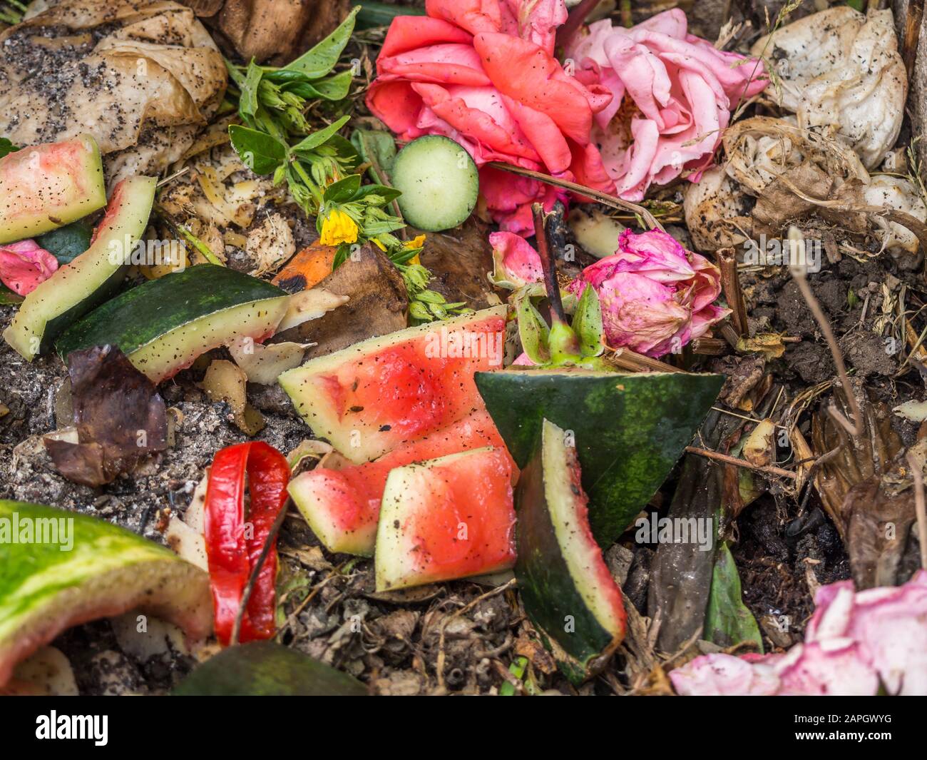 Organic waste in the garden Stock Photo - Alamy