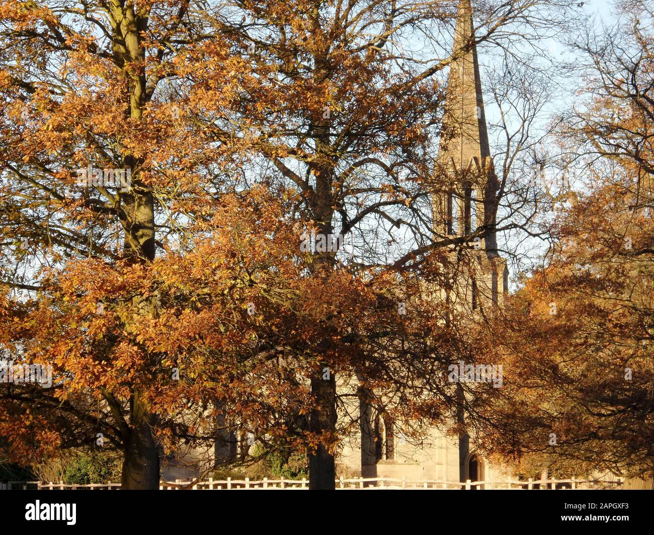 autumn landscape warwickshire england uk Stock Photo - Alamy