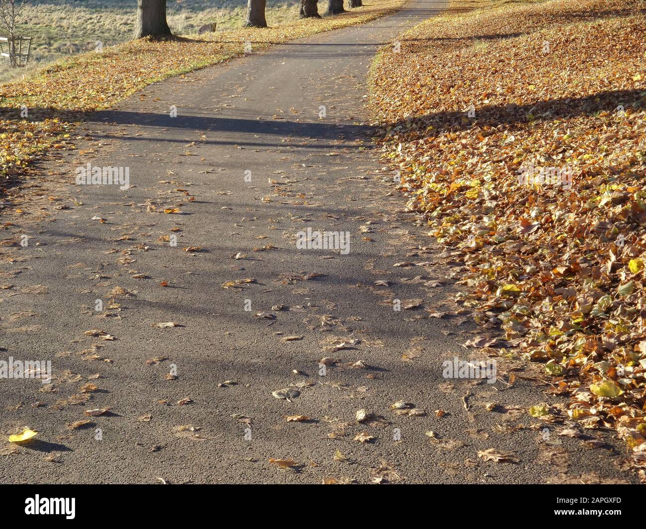 autumn landscape warwickshire england uk Stock Photo - Alamy