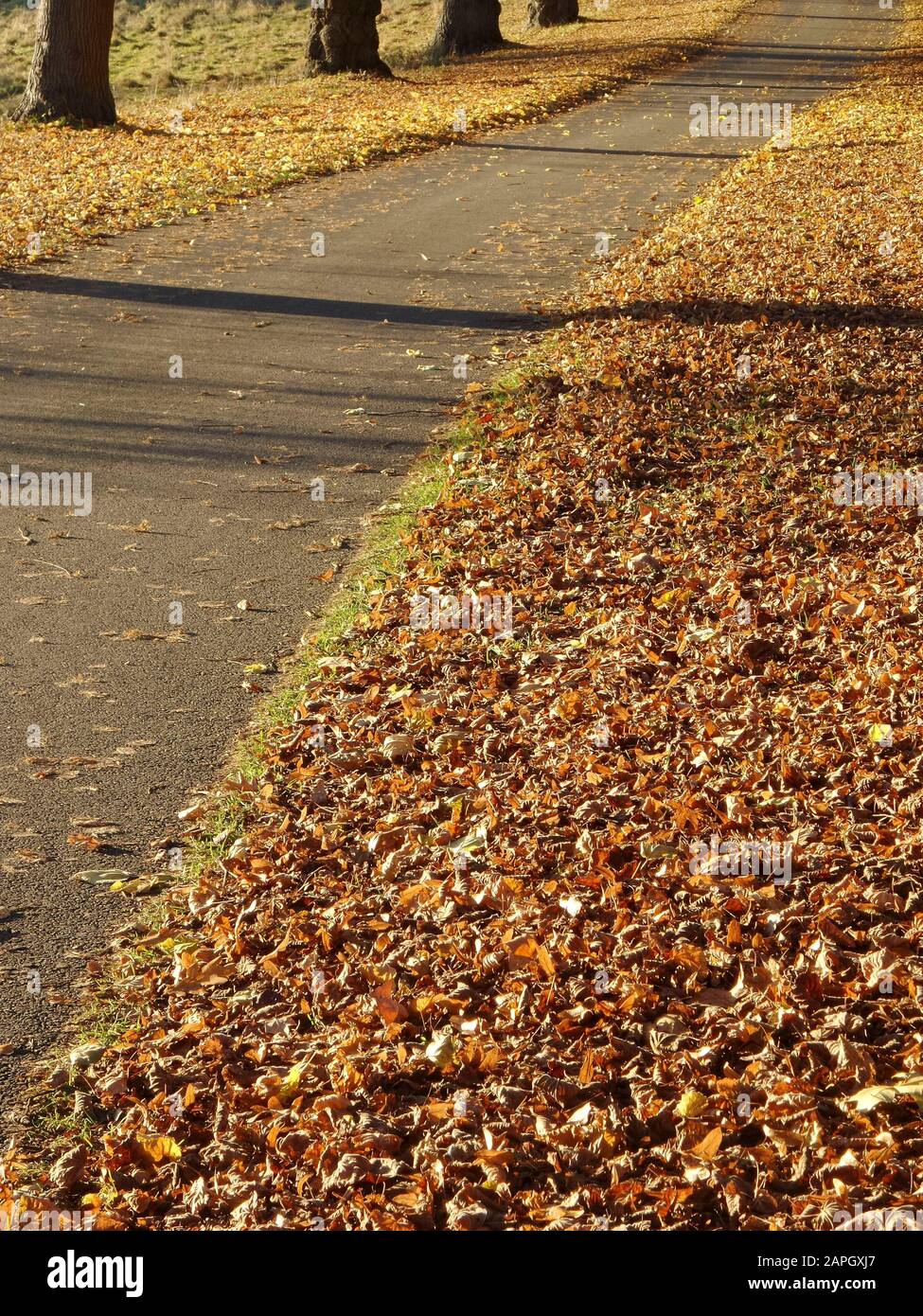 autumn landscape warwickshire england uk Stock Photo - Alamy