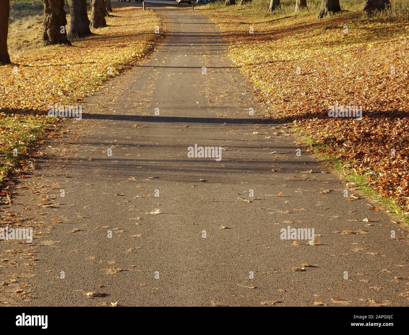 autumn landscape warwickshire england uk Stock Photo - Alamy