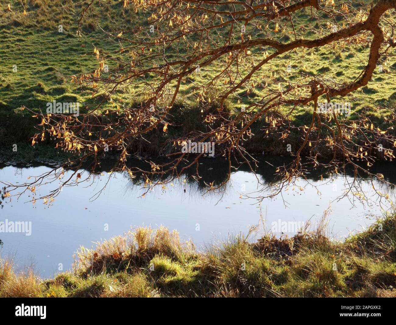 autumn landscape warwickshire england uk Stock Photo - Alamy