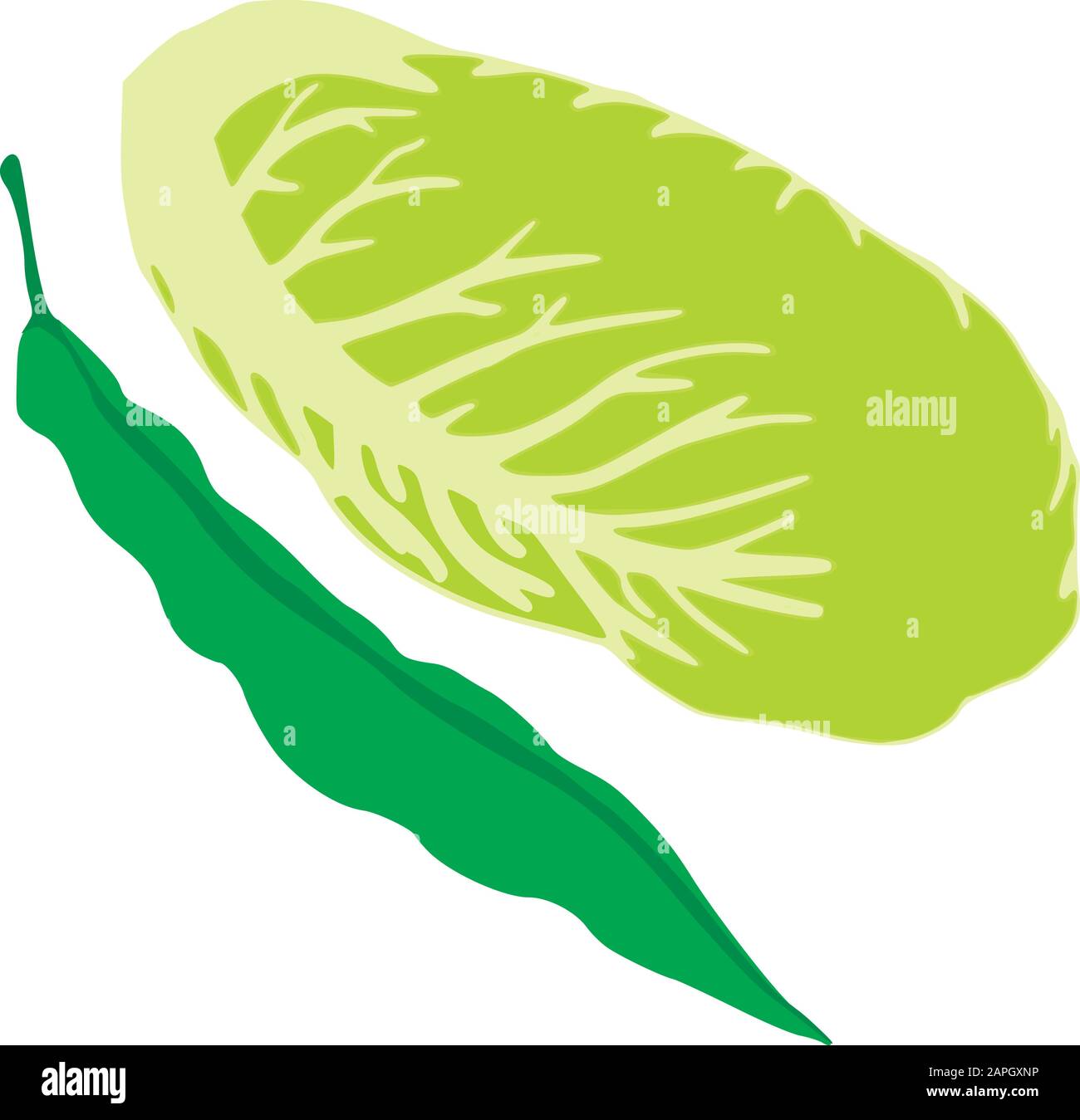 Green food icon, isometric style Stock Vector Image & Art - Alamy