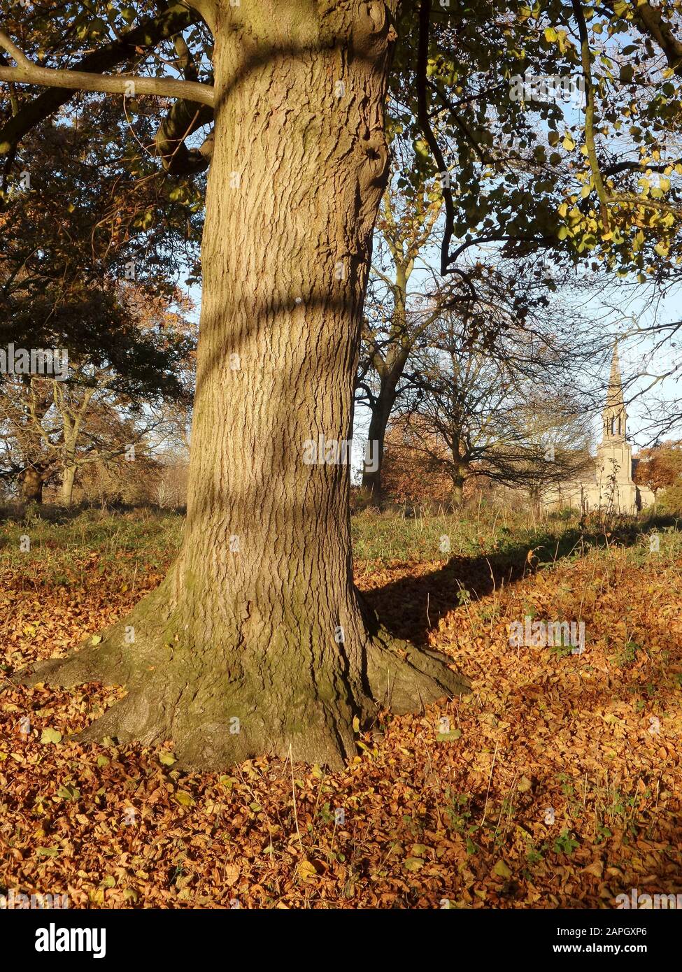 autumn landscape warwickshire england uk Stock Photo - Alamy