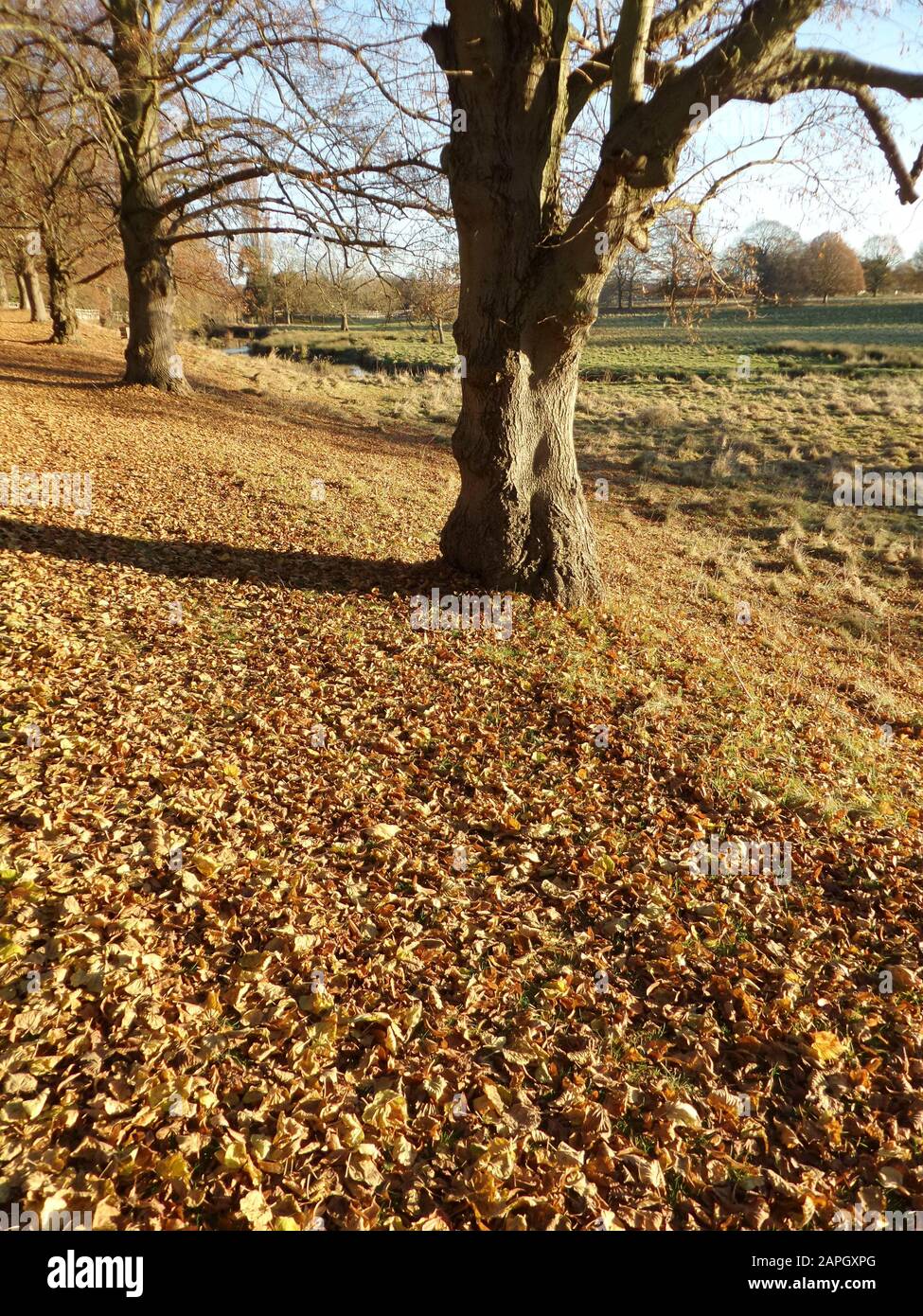 autumn landscape warwickshire england uk Stock Photo - Alamy