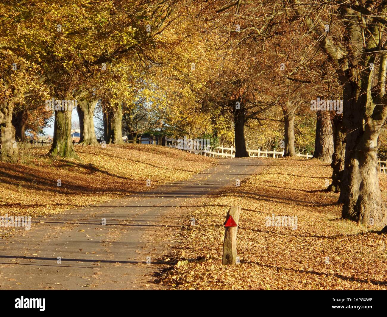 autumn landscape warwickshire england uk Stock Photo - Alamy