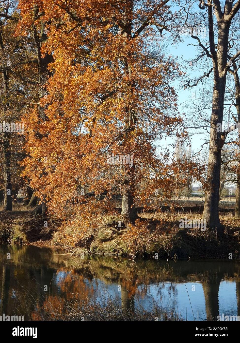 autumn landscape warwickshire england uk Stock Photo - Alamy