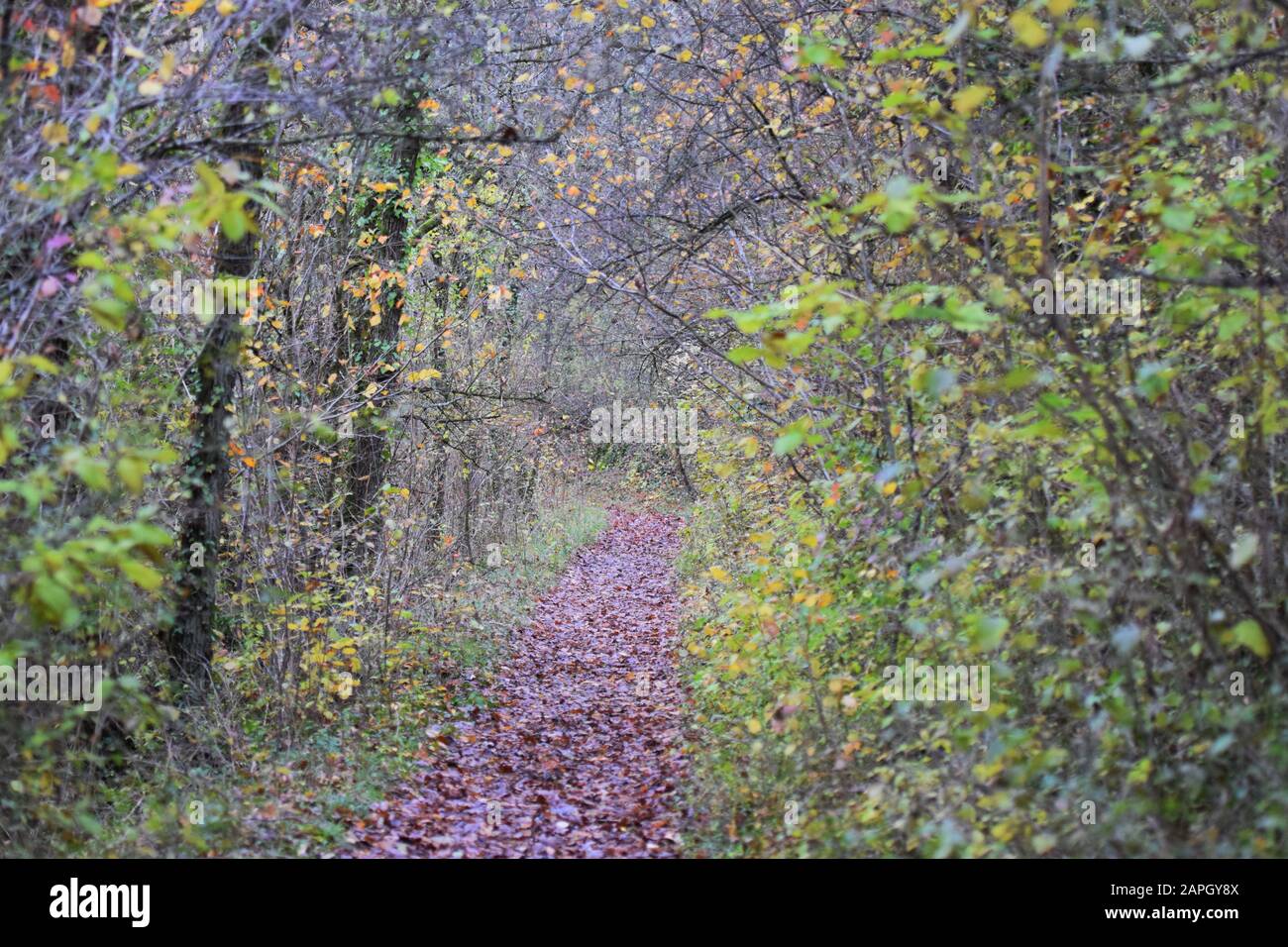 Paysages hi-res stock photography and images - Alamy