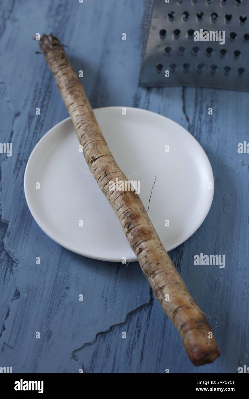 Edible burdock root on white plate on blue background with grater Stock ...