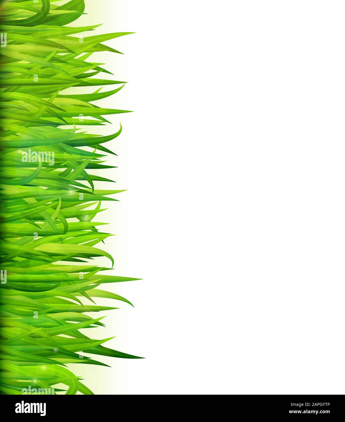 Green grass frame vector background Stock Vector Image & Art - Alamy