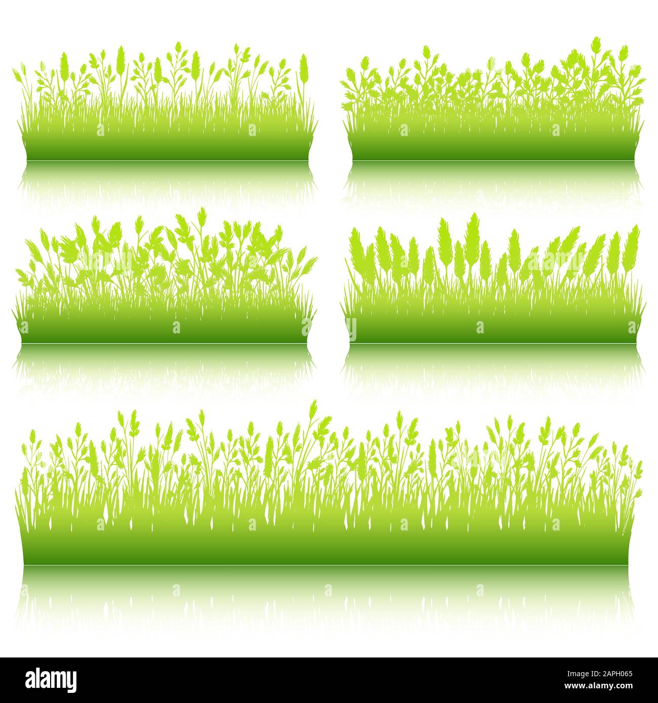 Green grass borders set on white background vector Stock Vector Image ...