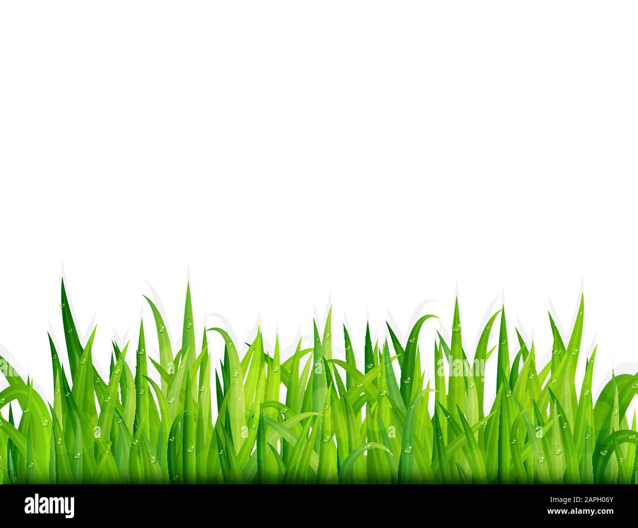 Green grass banner. Vector background Stock Vector Image & Art - Alamy