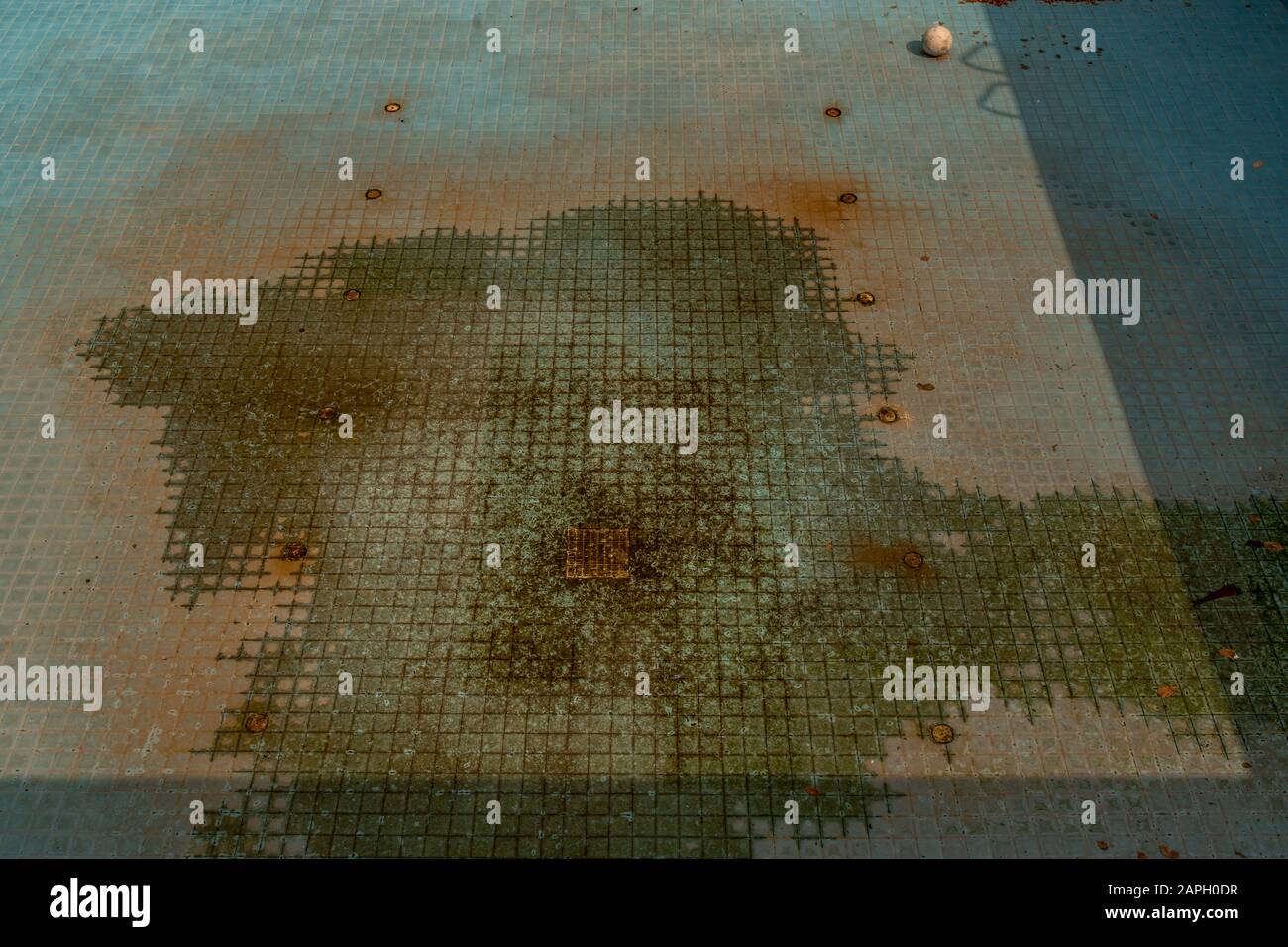 A dirty, abandoned swimming pool without water, Old Swimming Pool Stock ...