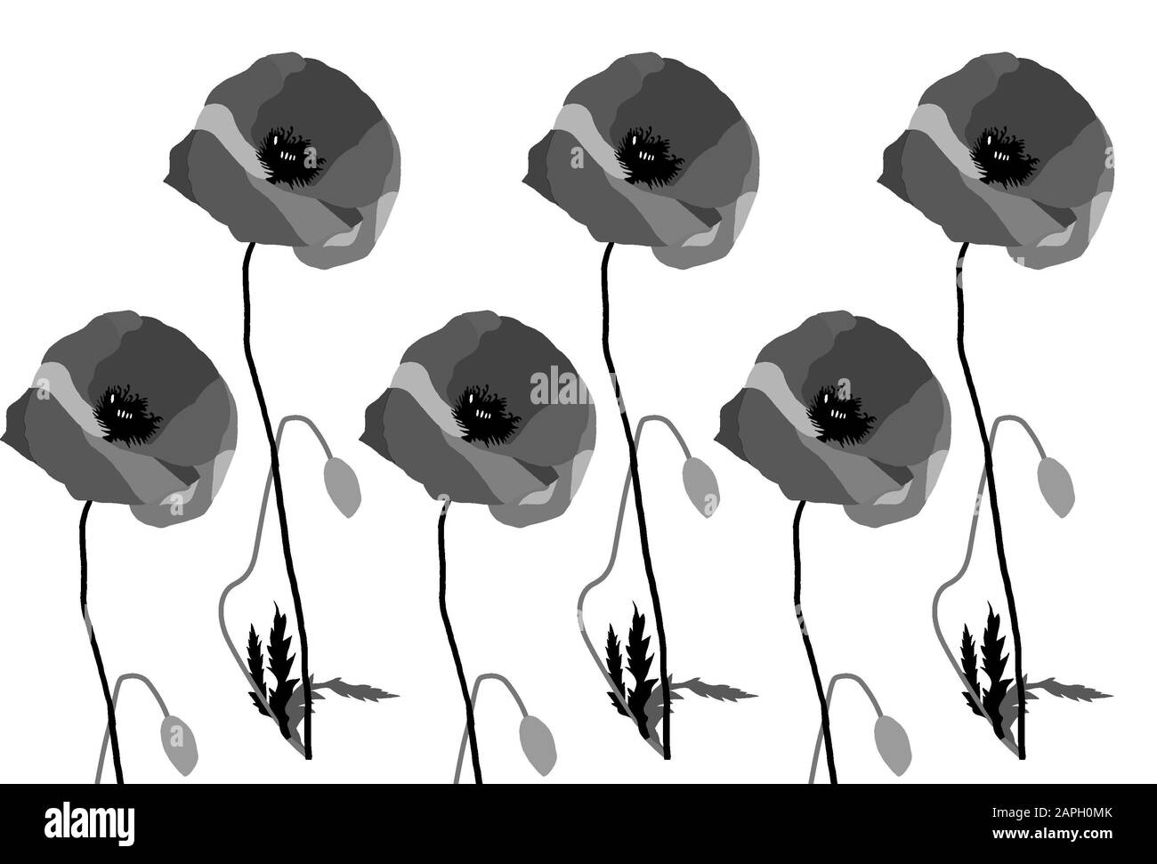 Flower digital line art Cut Out Stock Images & Pictures - Alamy
