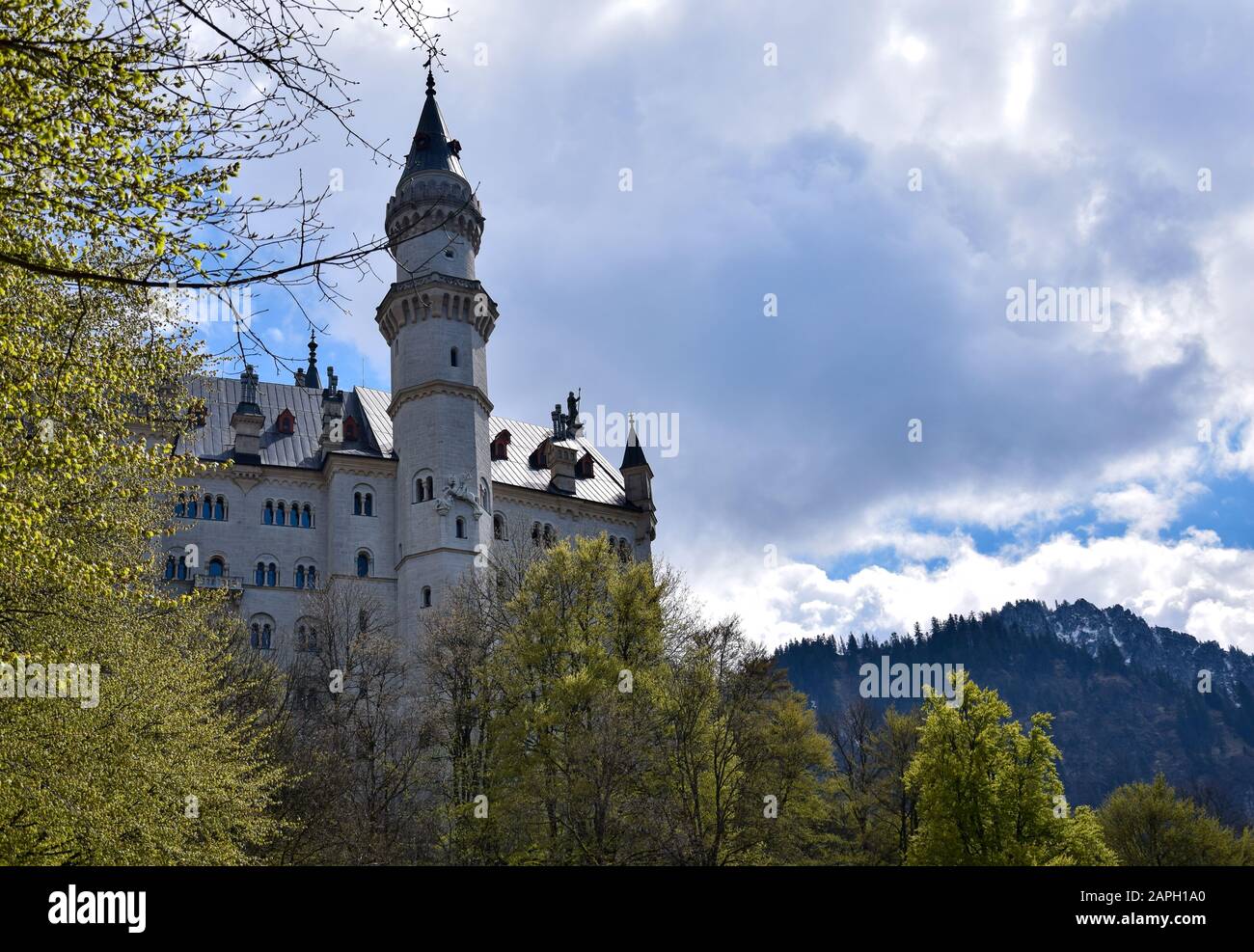 Neuschwanstein Castle in the Alps of Bavaria, Germany Stock Photo - Alamy