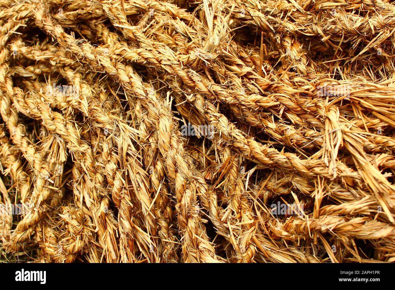 The picture shows ropes made of straw Stock Photo - Alamy